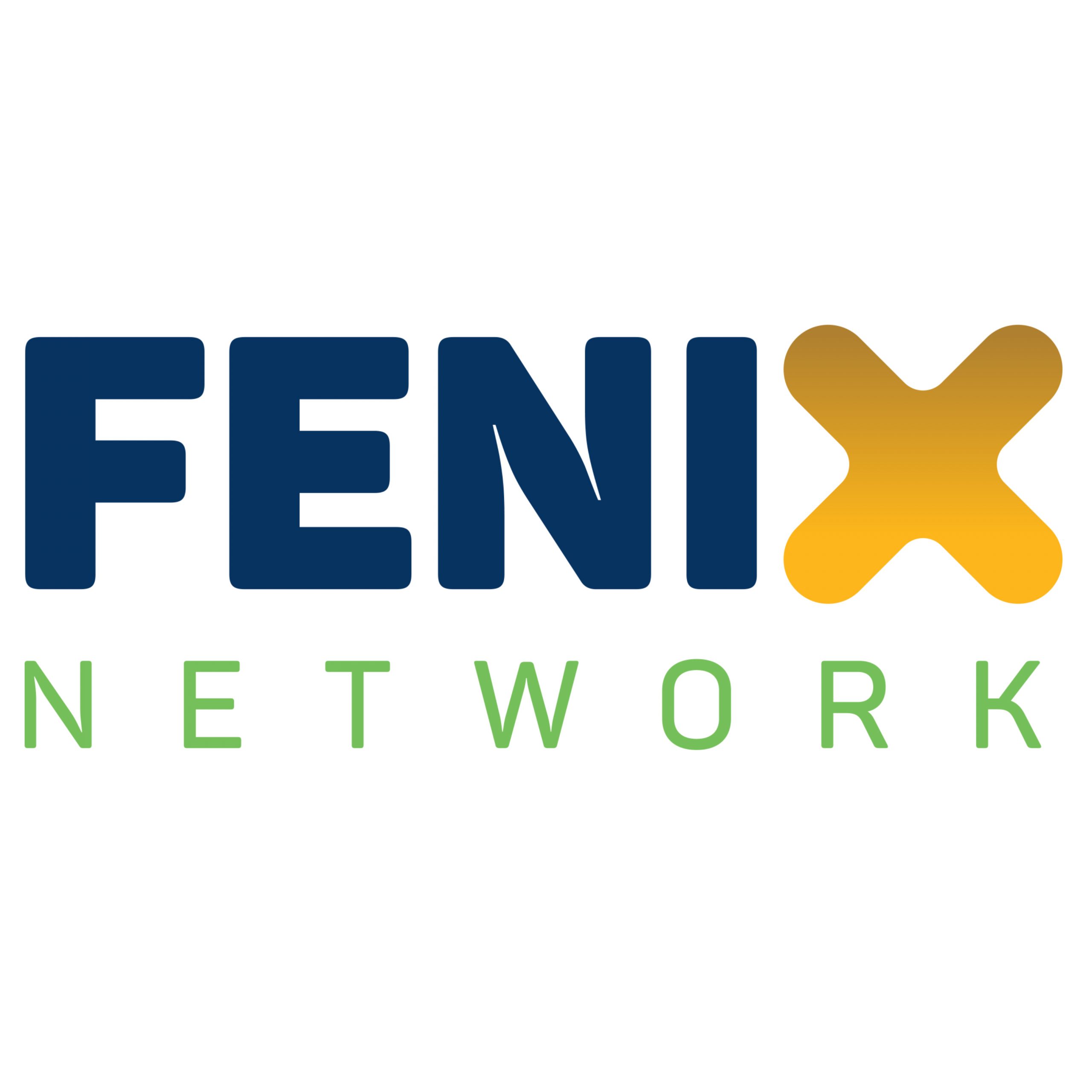 FENIX - I-SENSE Group